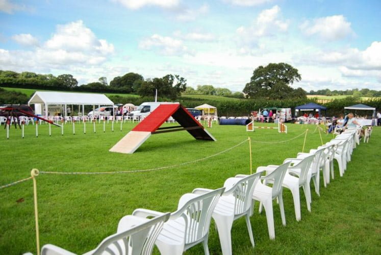 Dog Agility Training | Quintor Agility